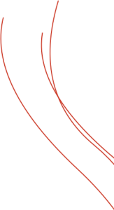 Menus - Dirty Dogs BBQ